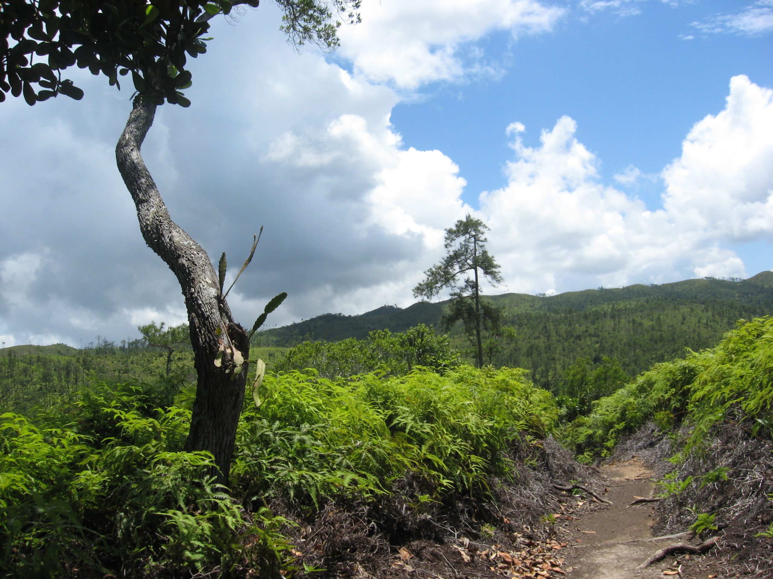 Southern Belize | 6 Reasons Southern Belize Is Your Dream Trip