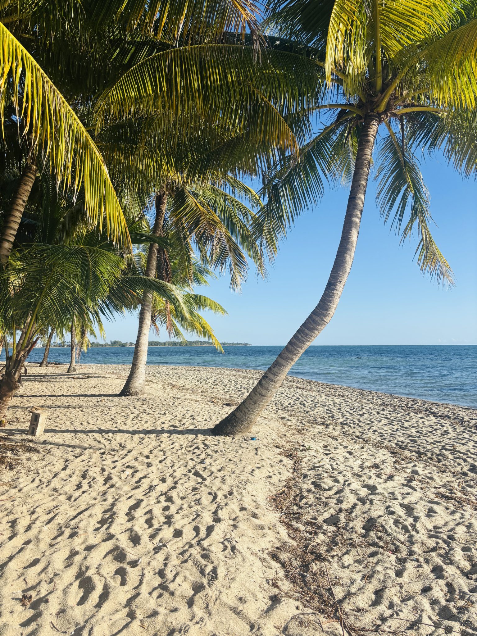 Why Belize Is the Best Spring Break Adventure Destination